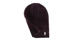 Polo Ralph Lauren Wool Cashmere Cable Beanie - Purple