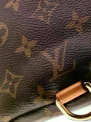 LOUIS VUITTON Monogram Canvas Belt Bag