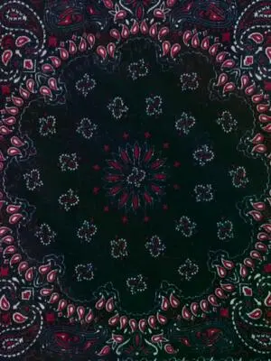 SGOMBERO CANTINE Paisley-print Wool Scarf - Blue