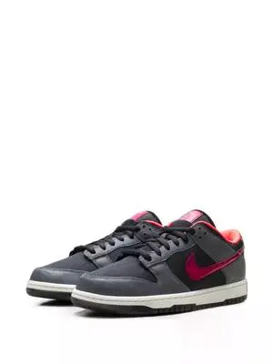 Nike Dunk Low Protro Sneakers