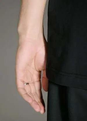 VIVIENNE WESTWOOD Seal Ring