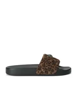 Kurt Geiger Meena Eagle Slides