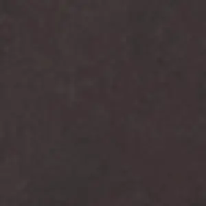 Rick Owens Cargobela Shorts