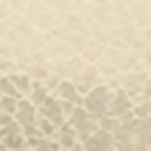 GOLDEN GOOSE Leopard-print Super-star Sabot Sneakers
