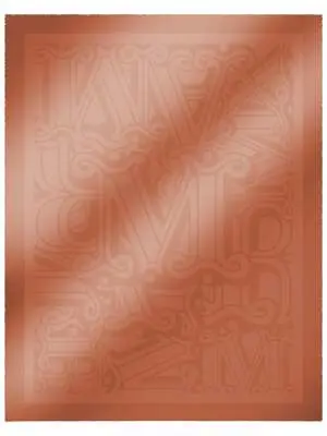 Max Mara Cotton Jacquard Scarf - Orange