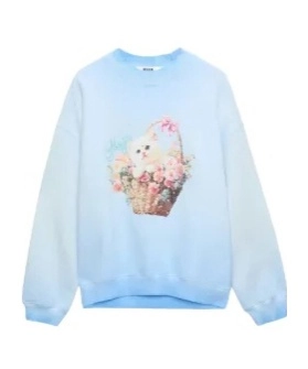 MSGM Cat-print Sweatshirt - Blue