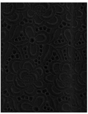 Dolce & Gabbana Lace A-line Swing Skirt