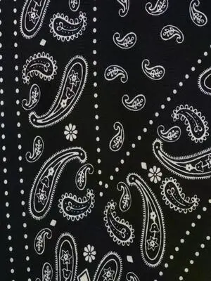 Destin Paisley-print Wool Scarf