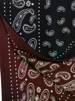 Destin Paisley-print Wool Scarf