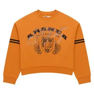 SP5DER Aranea Crewneck 'burnt - Orange