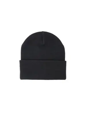 Carhartt Work In Progress Watch Beanie