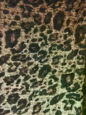 Avant Toi Leopard-print Frayed Scarf