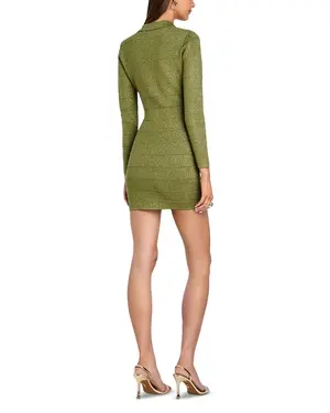 Retrofete Metallic Knit Mini Dress