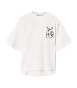 ALLSAINTS Organic Cotton Amelie T-shirt