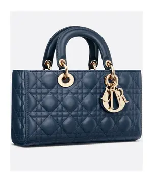 Dior Lady D-joy Bag