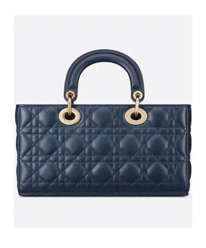 Dior Lady D-joy Bag