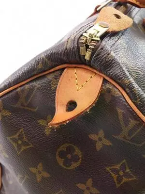 LOUIS VUITTON Monogram Speedy Handbag