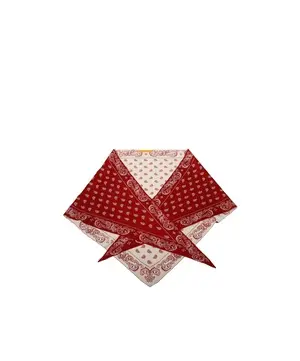 Guest In Residence The Wild Rag Foulard