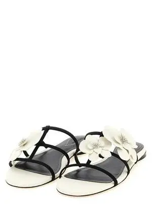 Zimmermann Orchid' Slides