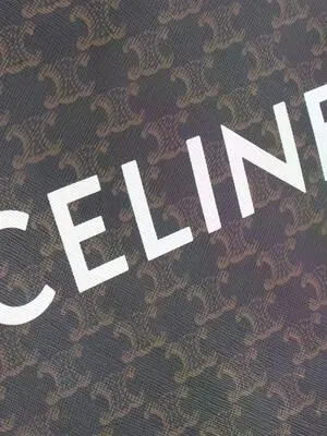 Celine 2000-2026 Small Triomphe Coated Canvas Vertical Cabas Tote Satchel