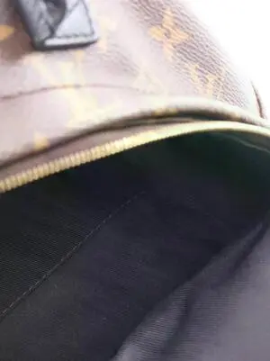 LOUIS VUITTON Monogram Palm Springs Mini Backpack - Brown