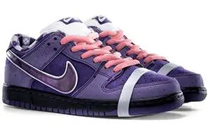 Nike X Concepts Sb Dunk Low