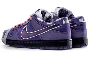 Nike X Concepts Sb Dunk Low