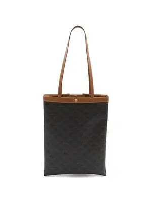 Celine Flat Triomphe Canvas Medium Tote