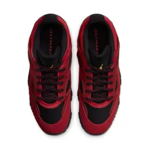 JORDAN Dmsn 95 Shoes