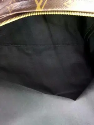 LOUIS VUITTON Palm Springs Monogram Canvas Backpack