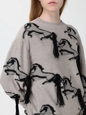 Stella McCartney Virgin Wool Crewneck Jumper With Fringes And Embroidery