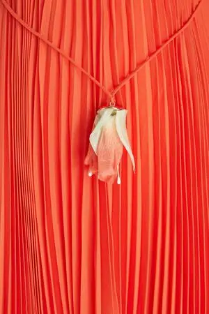 Zimmermann Clothing Dresses
