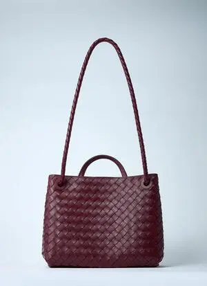 Bottega Veneta Medium Andiamo Handbag