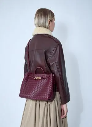 Bottega Veneta Medium Andiamo Handbag