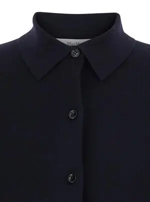 Max Mara Medeola' Blue Sweater With Polo Collar And Button Closure In Wool Blend - Multicolor