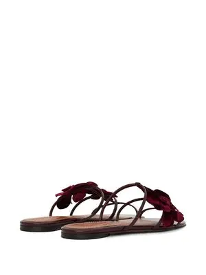Zimmermann Orchid Leather Flat Sandals