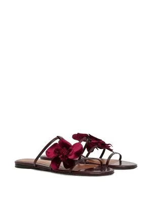Zimmermann Orchid Leather Flat Sandals