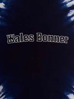 WALES BONNER Logo Embroidery Tie Dye Sweatshirt - Blue
