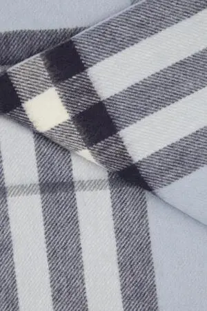 Burberry Accessories Scarves & Shawls - Multicolor
