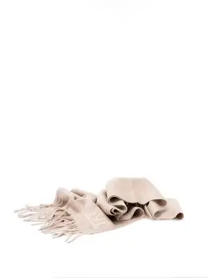 Max Mara Monogram Embroidered Cashmere Stole - Multicolor