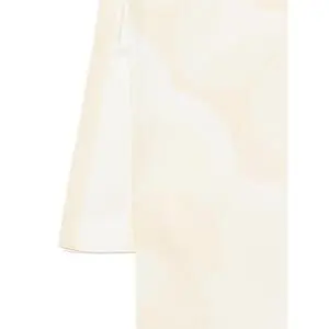 Carven Neutrals Scarves