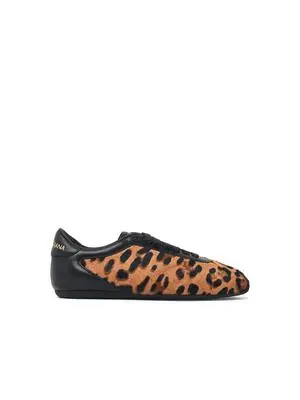 Dolce & Gabbana Sneakers - Brown