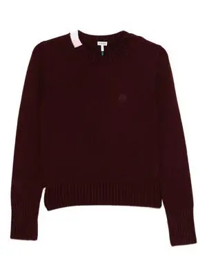 Loewe Cashmere Crewneck Jumper - Multicolor