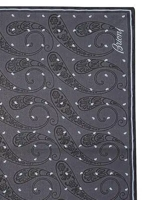 Brioni Scarves - Multicolor