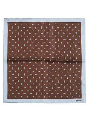 Brioni Scarves - Multicolor
