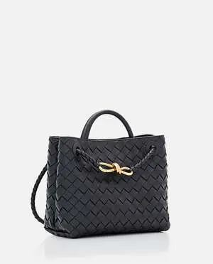 Bottega Veneta Andiamo Small Bag