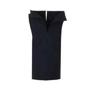 Balenciaga Vareuse Dress
