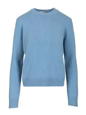 MAX MARA 'S Max Mara Women Fresia Sweater In Wool And Cashmere