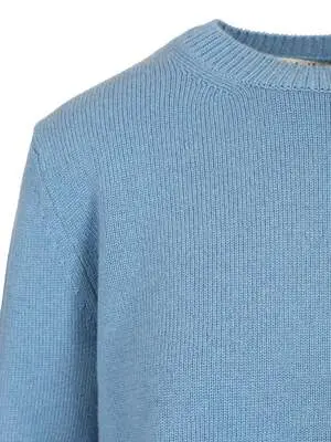 Max Mara Fresia Sweater In Wool And Cashmere - Blue