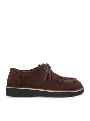 Loewe Faro Lace-up Shoes In Suede Calfskin - Brown